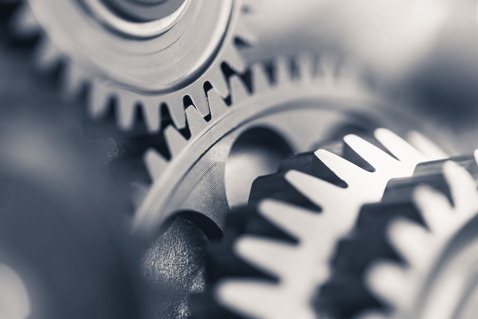 More Than Just Setting the Tone: A Look at Organizational Culture ...